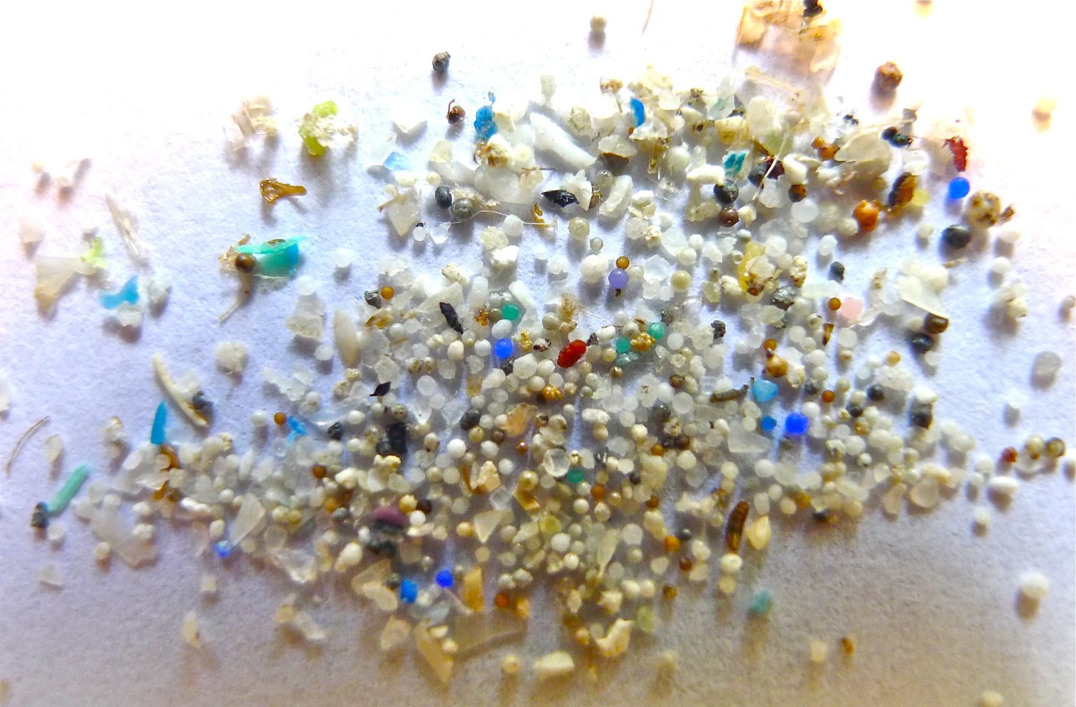 Microplastics: The Tiny Invaders We Can't Escape