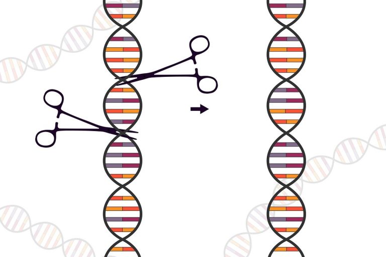 CRISPR-Cas Systems and the Precision of Microbial Memory